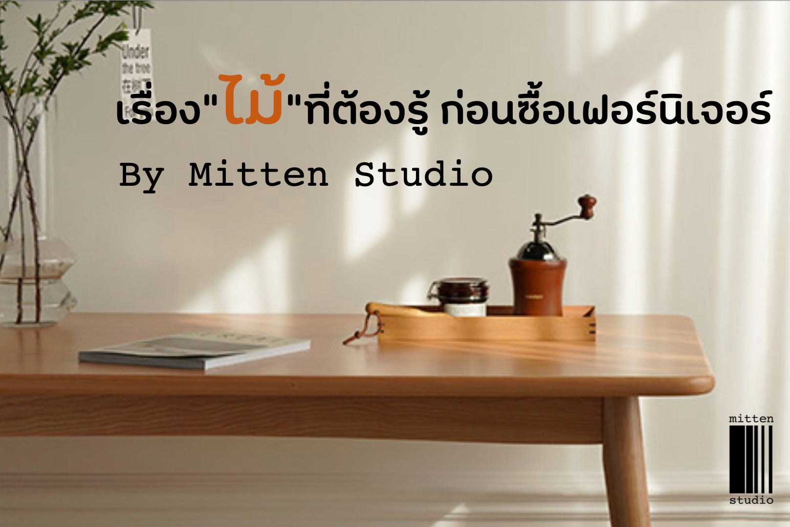 เรื่องไม้ที่ต้องรู้ก่อนซื้อเฟอร์นิเจอร์ – Mitten Studio